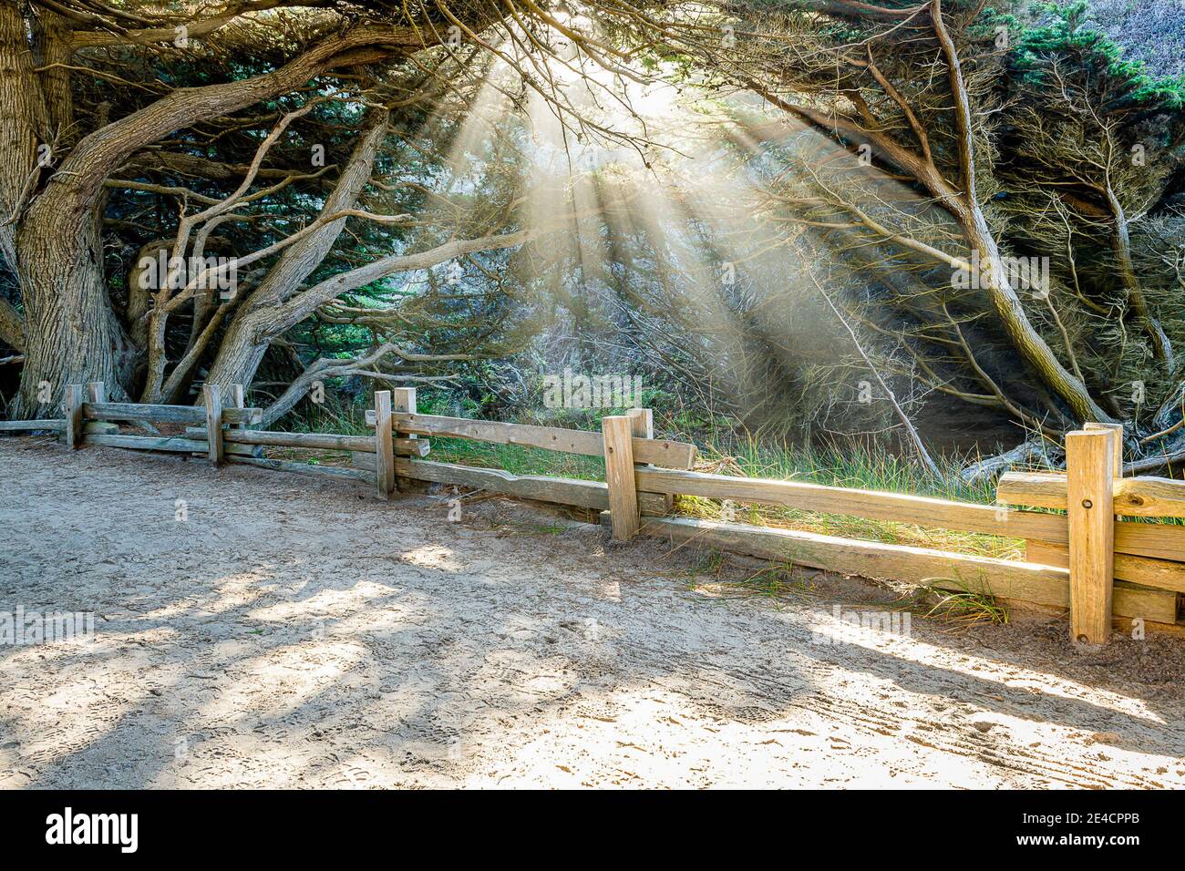 Pfeiffer Day Use Area in Big Sur Stock Photo - Alamy