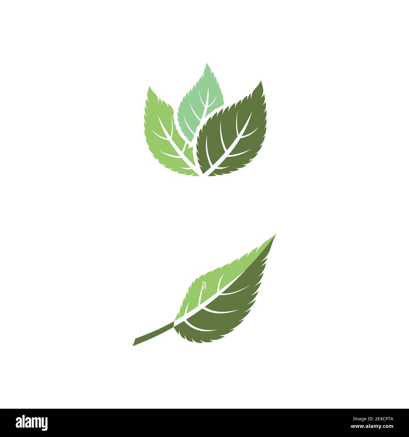 Leaf Mint Logo Template vector symbol nature Stock Vector Image & Art ...