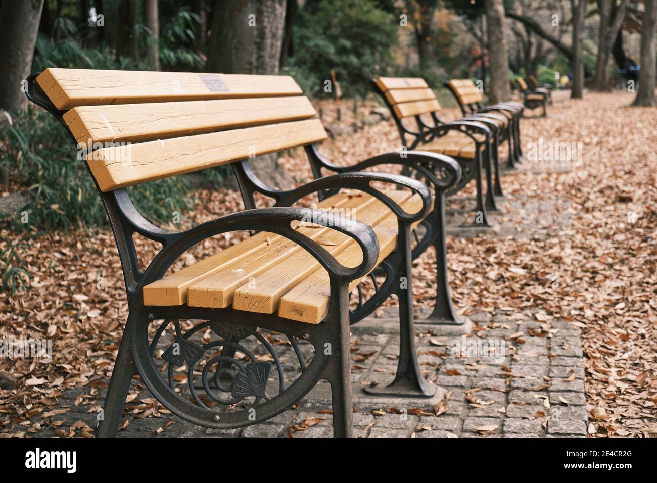Wooden benches at Inokashira Park, Tokyo, Japan Stock Photo - Alamy