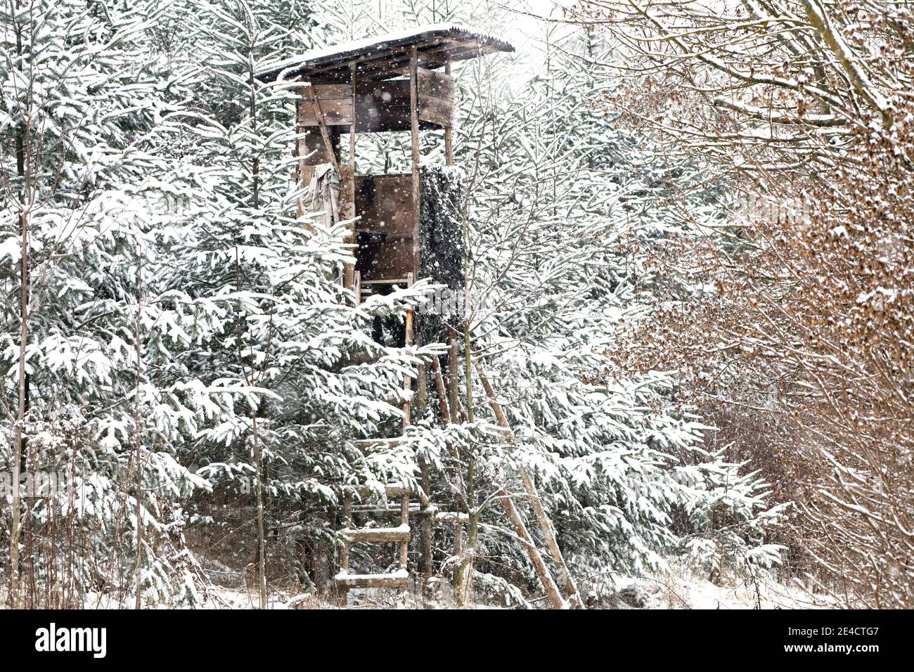 Hunting, hide in winter Stock Photo - Alamy