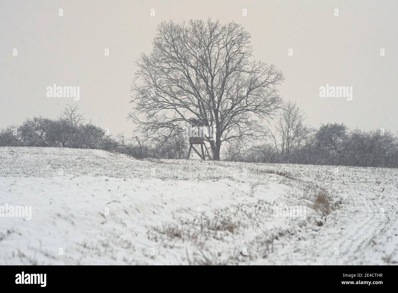 No hunting in woods hi-res stock photography and images - Alamy