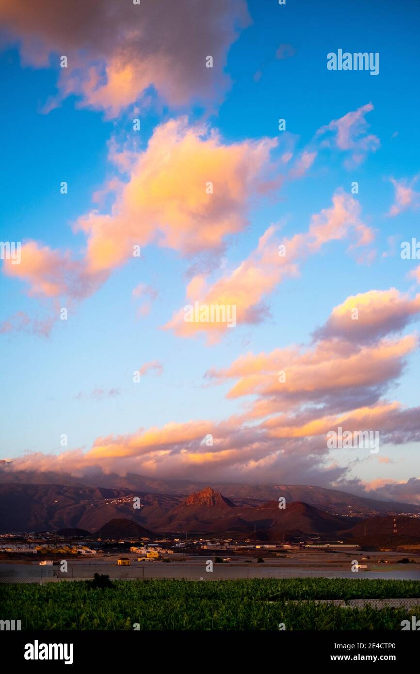 Landscape sunset beautiful view of tree bananas plantation and ...