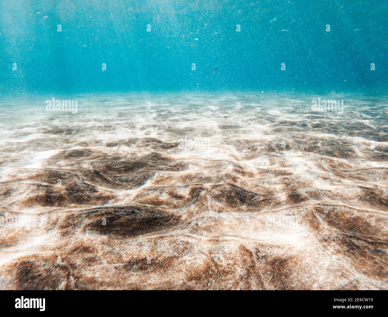 Underwater view at the beach with sand and blue transparent clean water ...