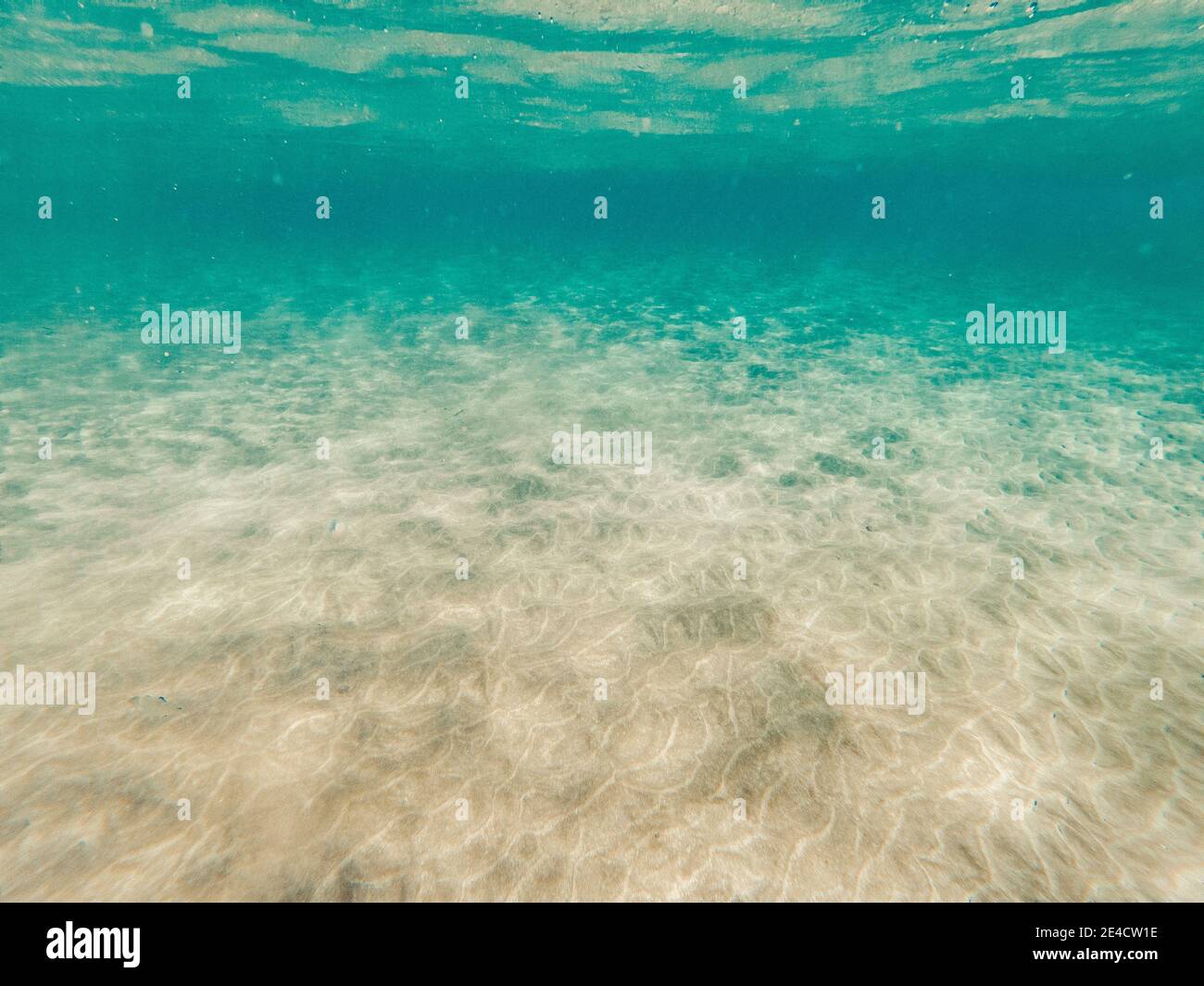 Underwater view at the beach with sand and blue transparent clean water ...