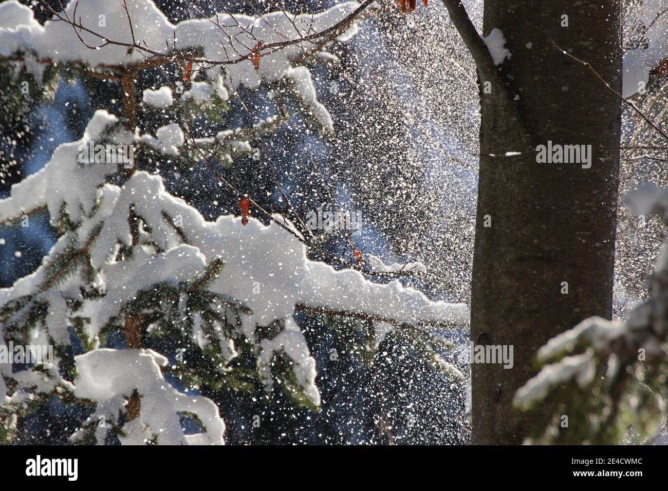 Blazing winter colour hi-res stock photography and images - Alamy