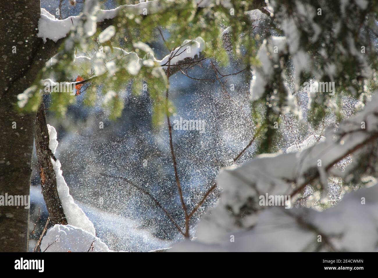 Blazing winter colour hi-res stock photography and images - Alamy