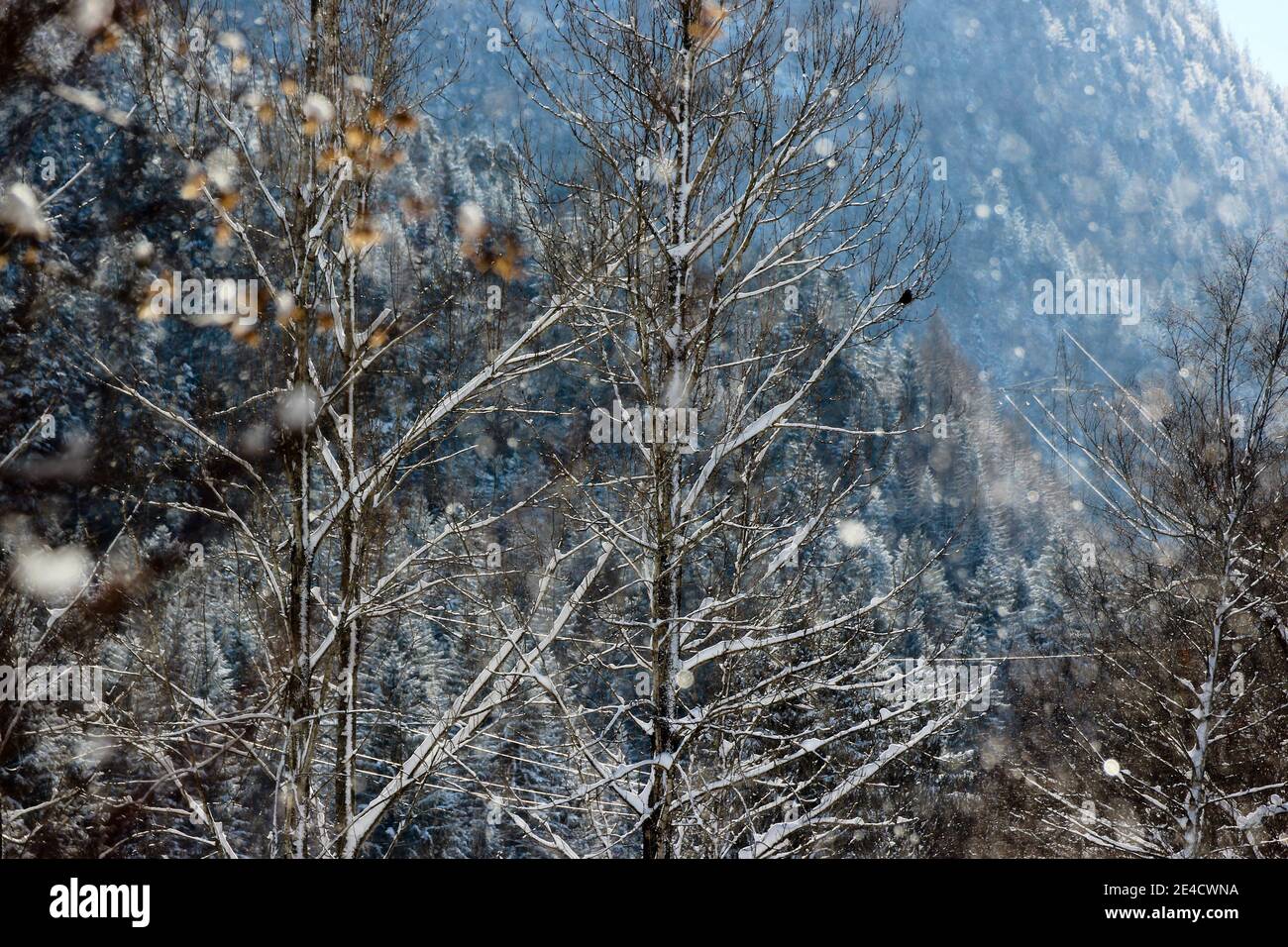 Blazing winter colour hi-res stock photography and images - Alamy