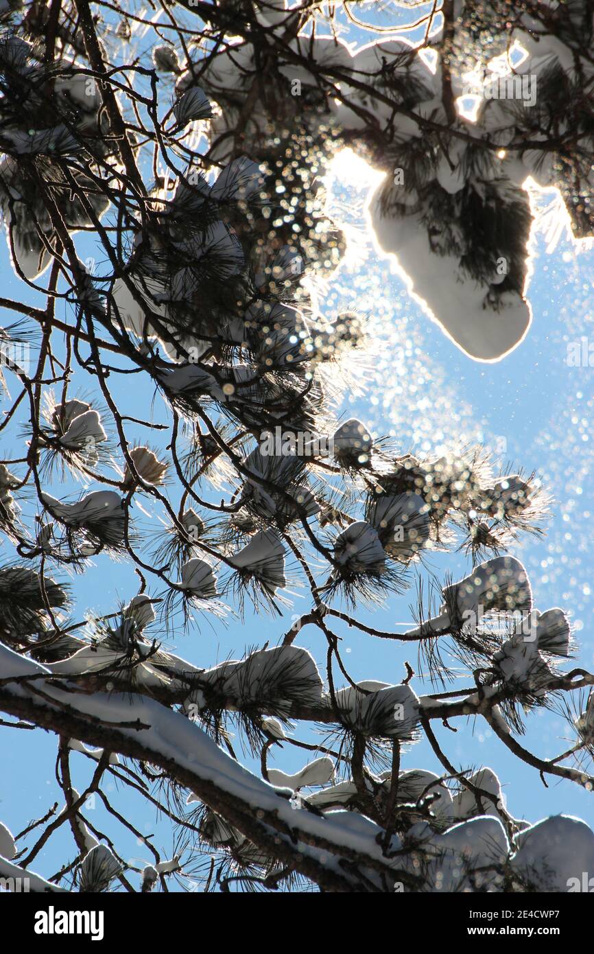 Blazing winter colour hi-res stock photography and images - Alamy