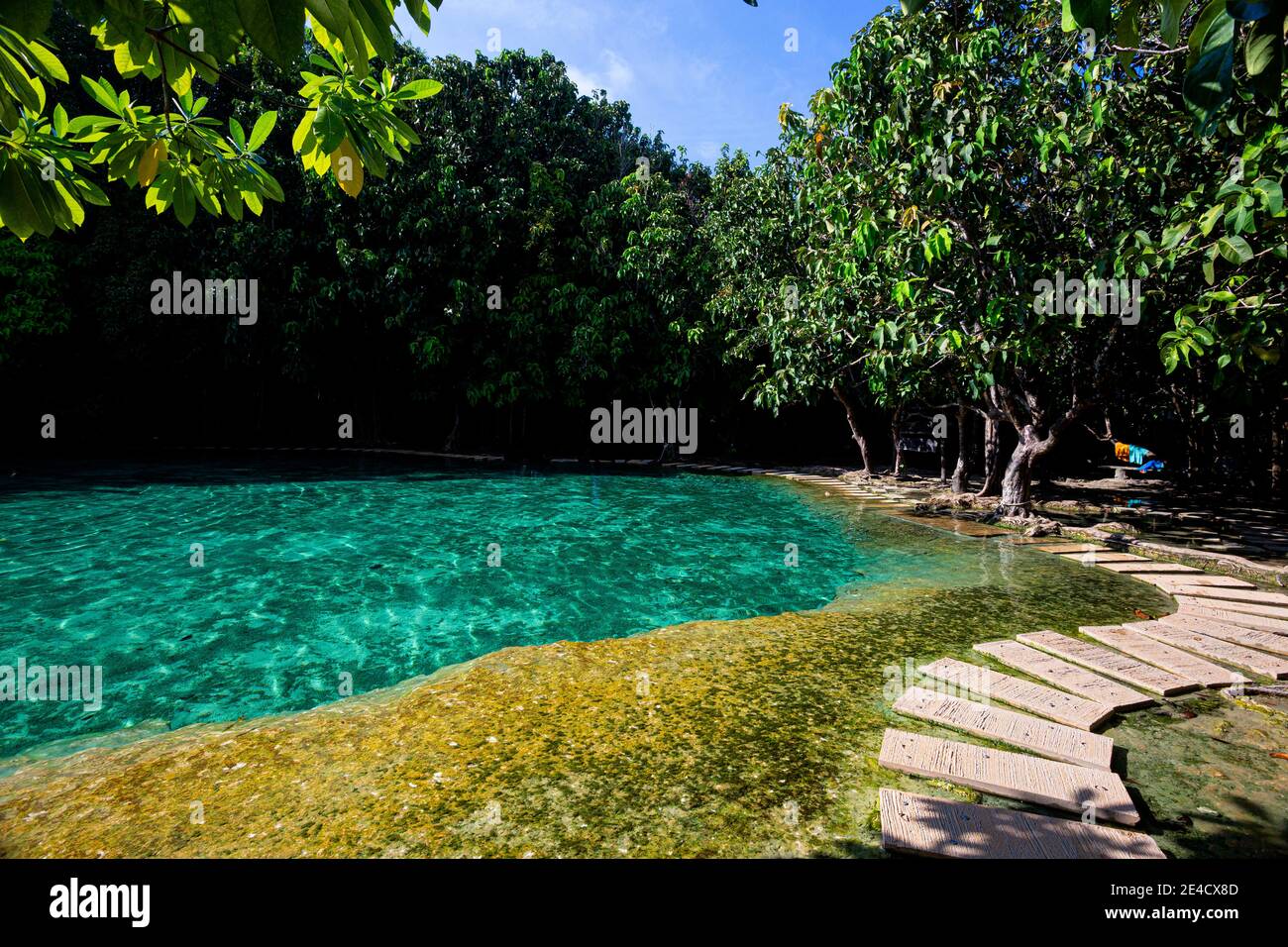 Blue Pool in Krabi Province south of Thailand (Emerald Pool-Krabi Stock ...