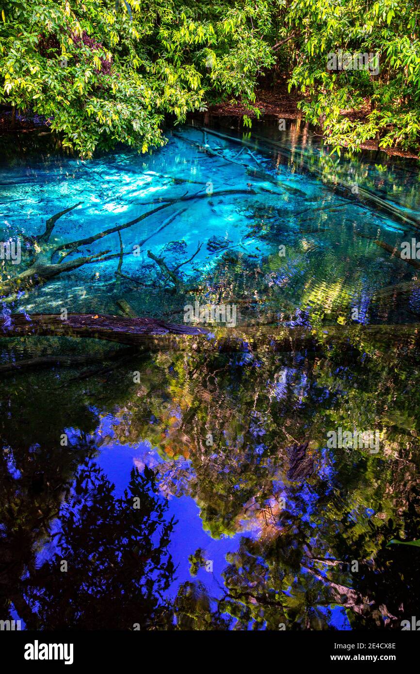 Blue Pool in Krabi Province south of Thailand (Emerald Pool-Krabi Stock ...