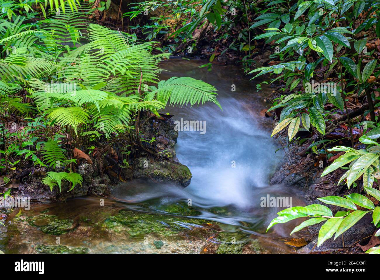 Blue Pool in Krabi Province south of Thailand (Emerald Pool-Krabi Stock ...