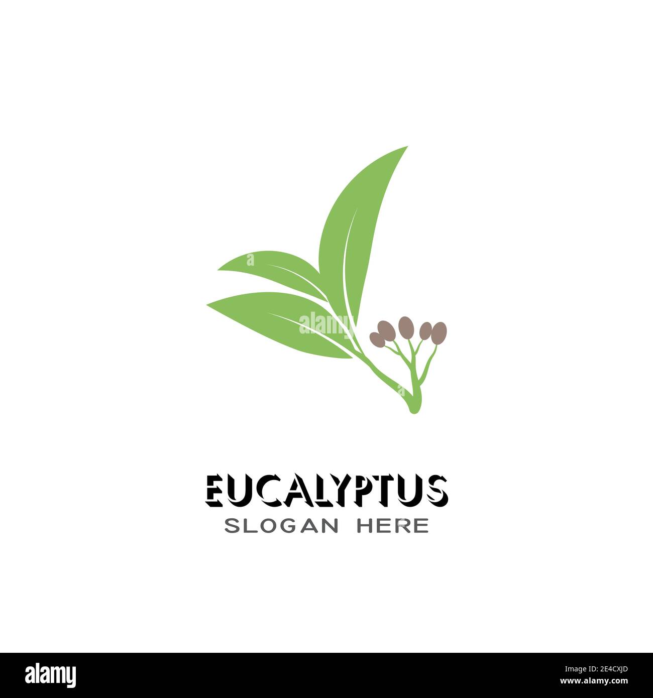 Eucalyptus leaves logo vector template design illustration Stock Vector Image & Art - Alamy