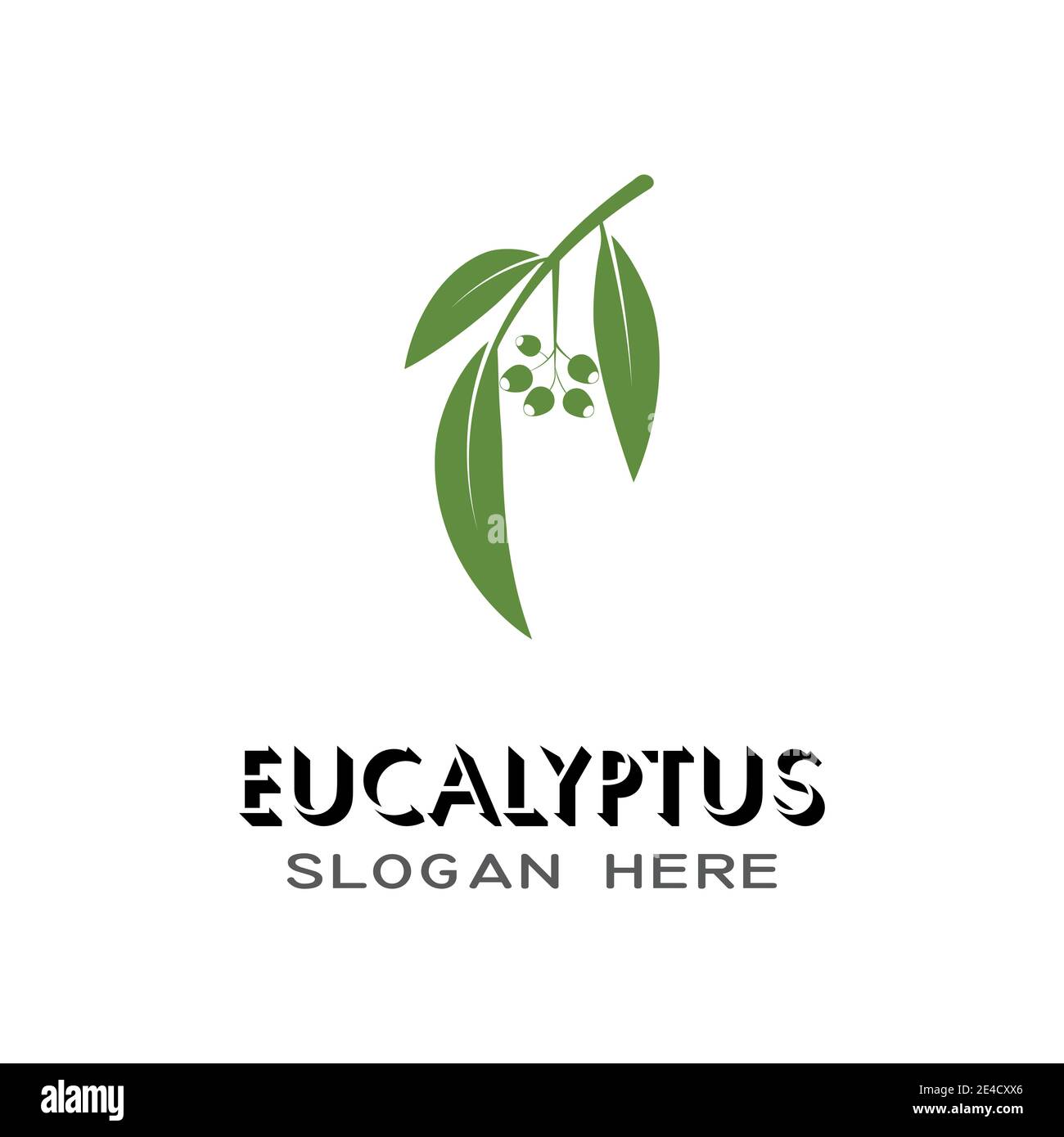 Eucalyptus leaves logo vector template design illustration Stock Vector Image & Art - Alamy