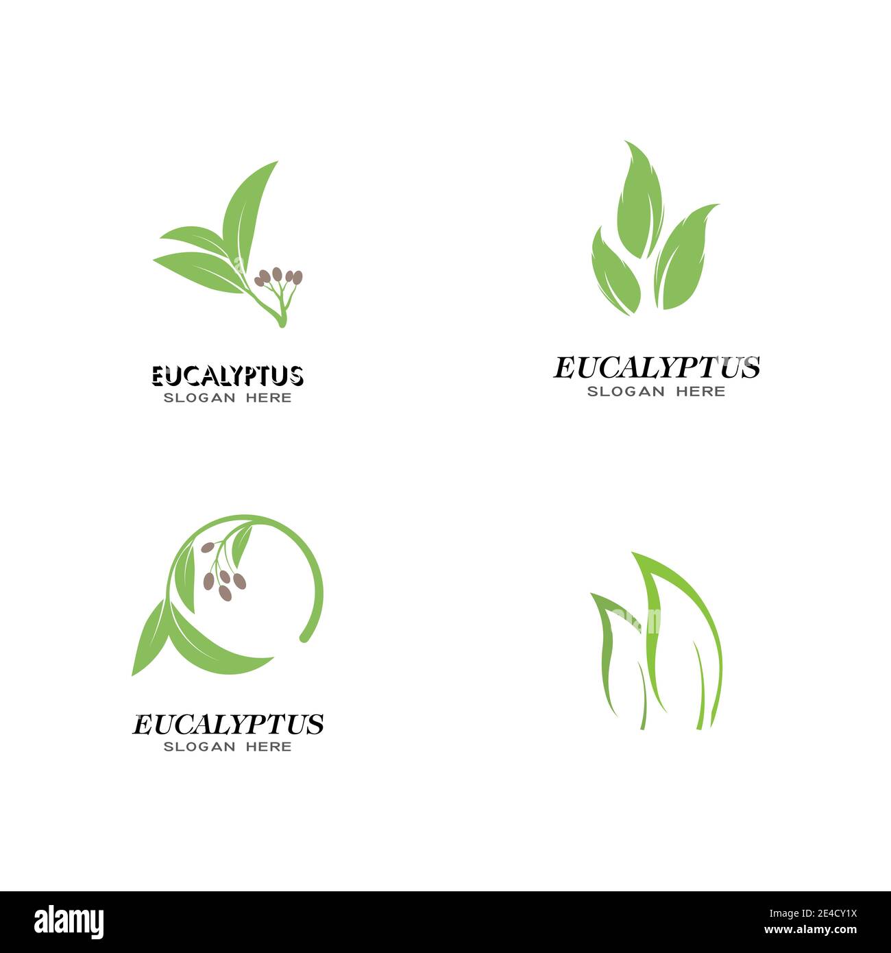 Set Eucalyptus leaves logo vector template design illustration Stock Vector Image & Art - Alamy
