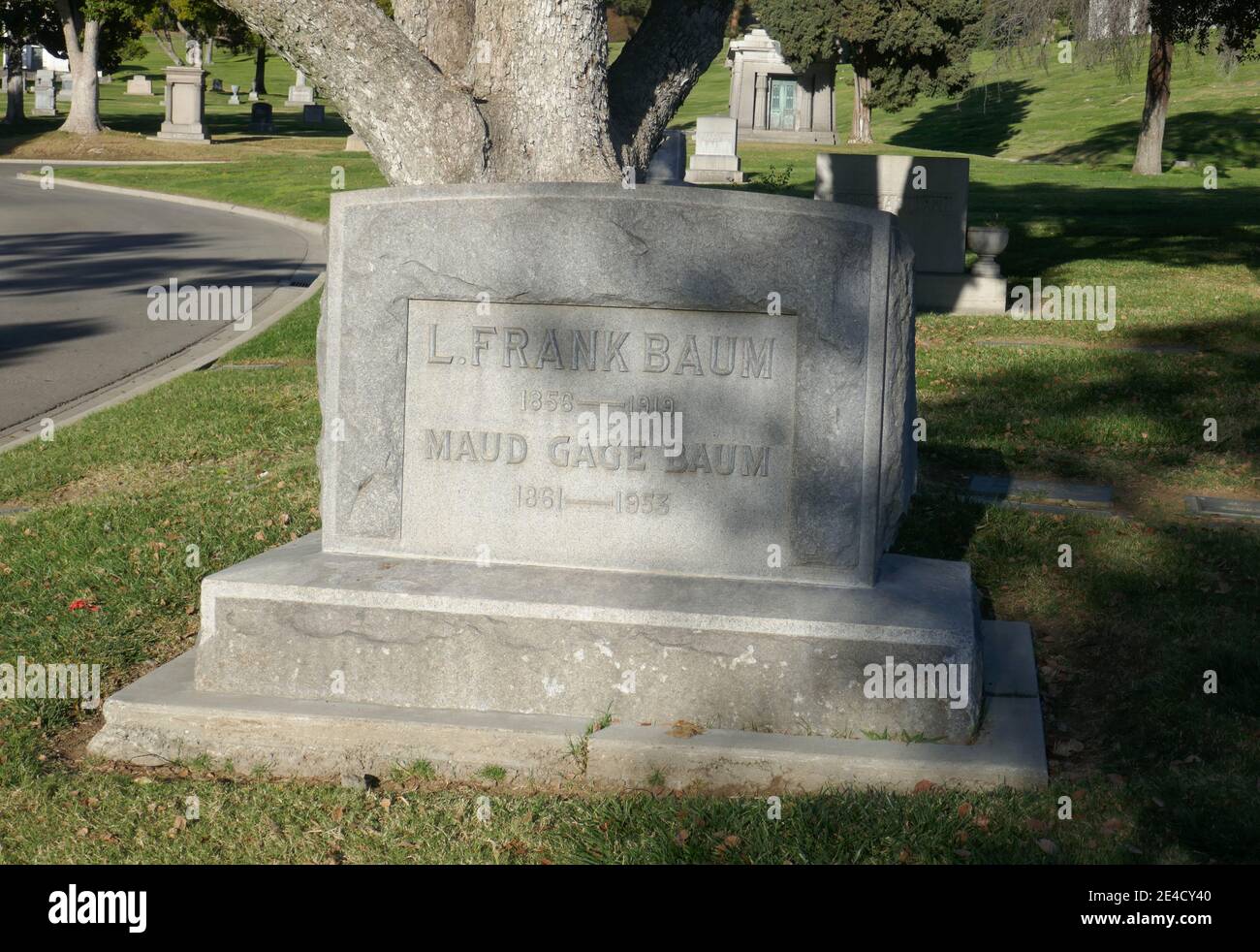 Glendale, California, USA 18th January 2021 A general view of ...