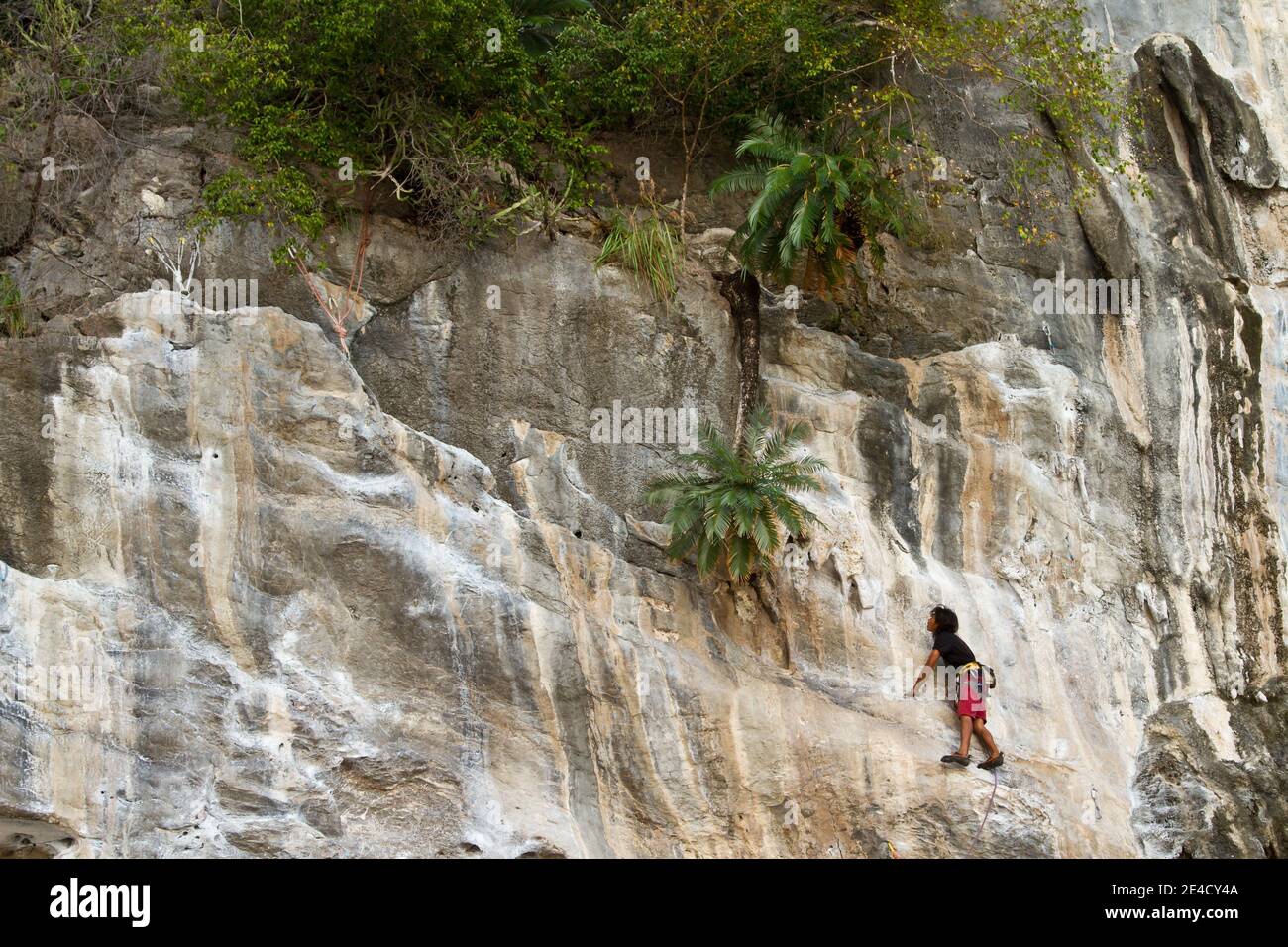 The rock is all limestone and is part of the worlds largest coral reef ...