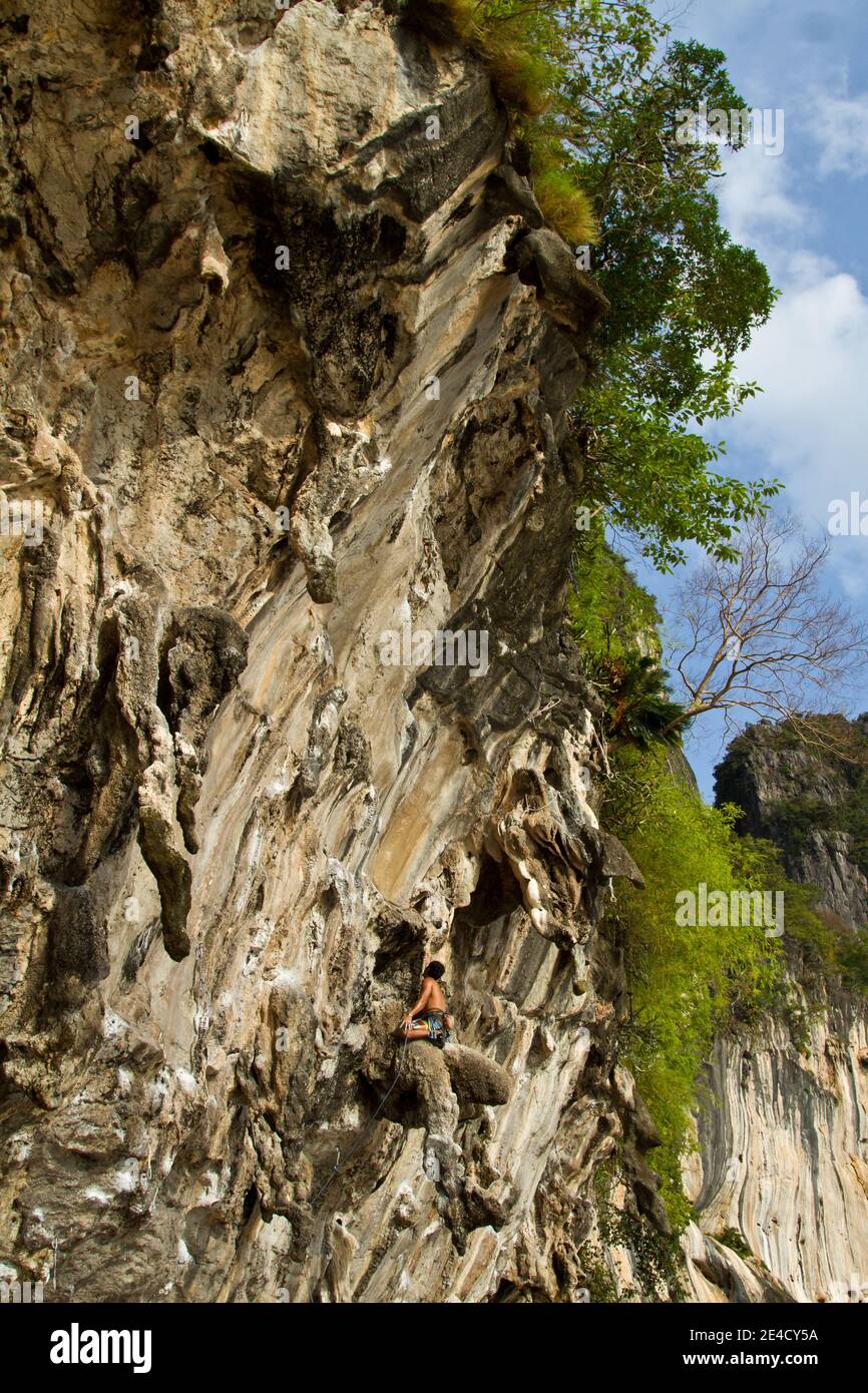 The rock is all limestone and is part of the worlds largest coral reef ...