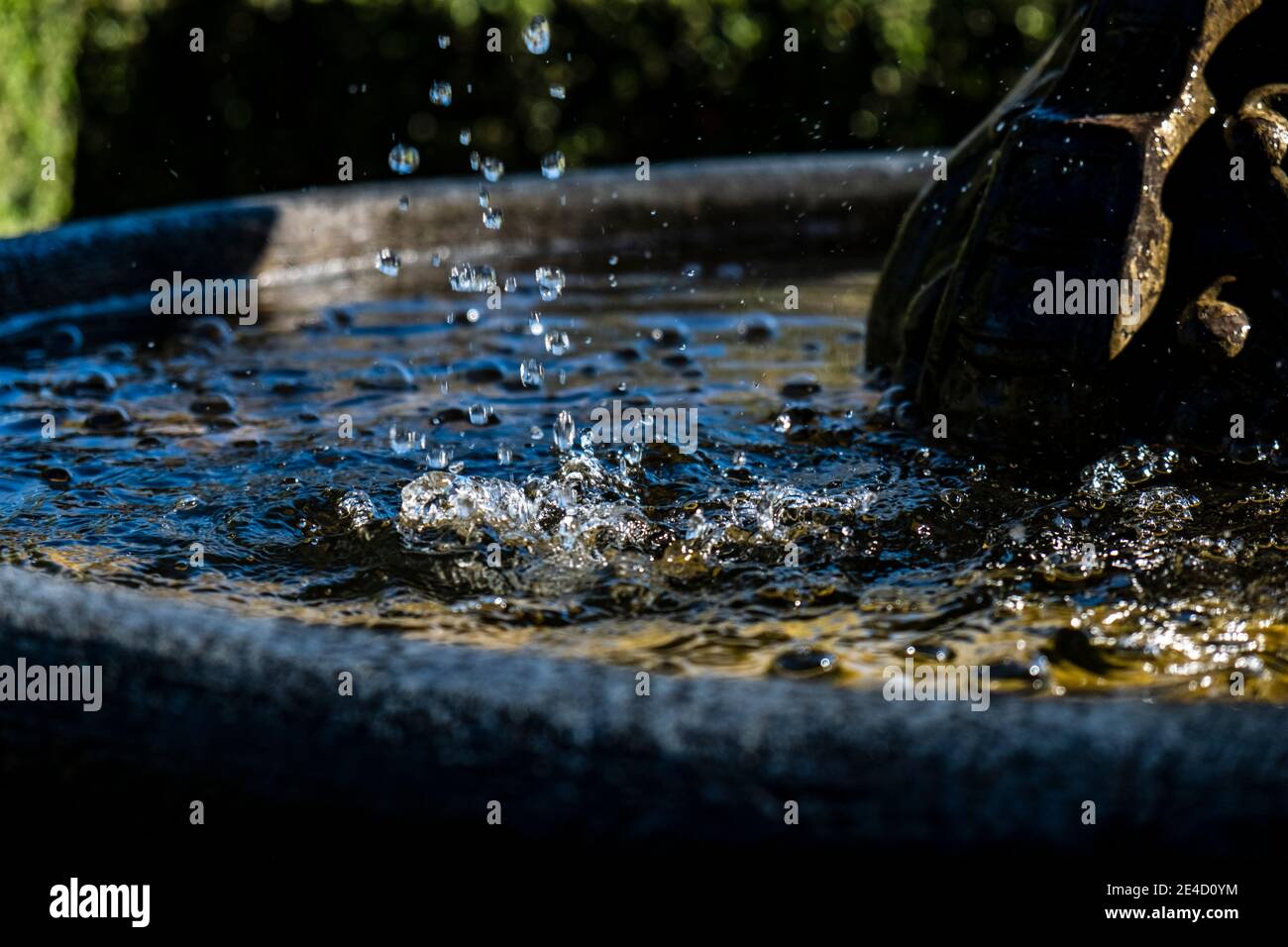 Droplets splashing into water in a garden fountain Stock Photo - Alamy