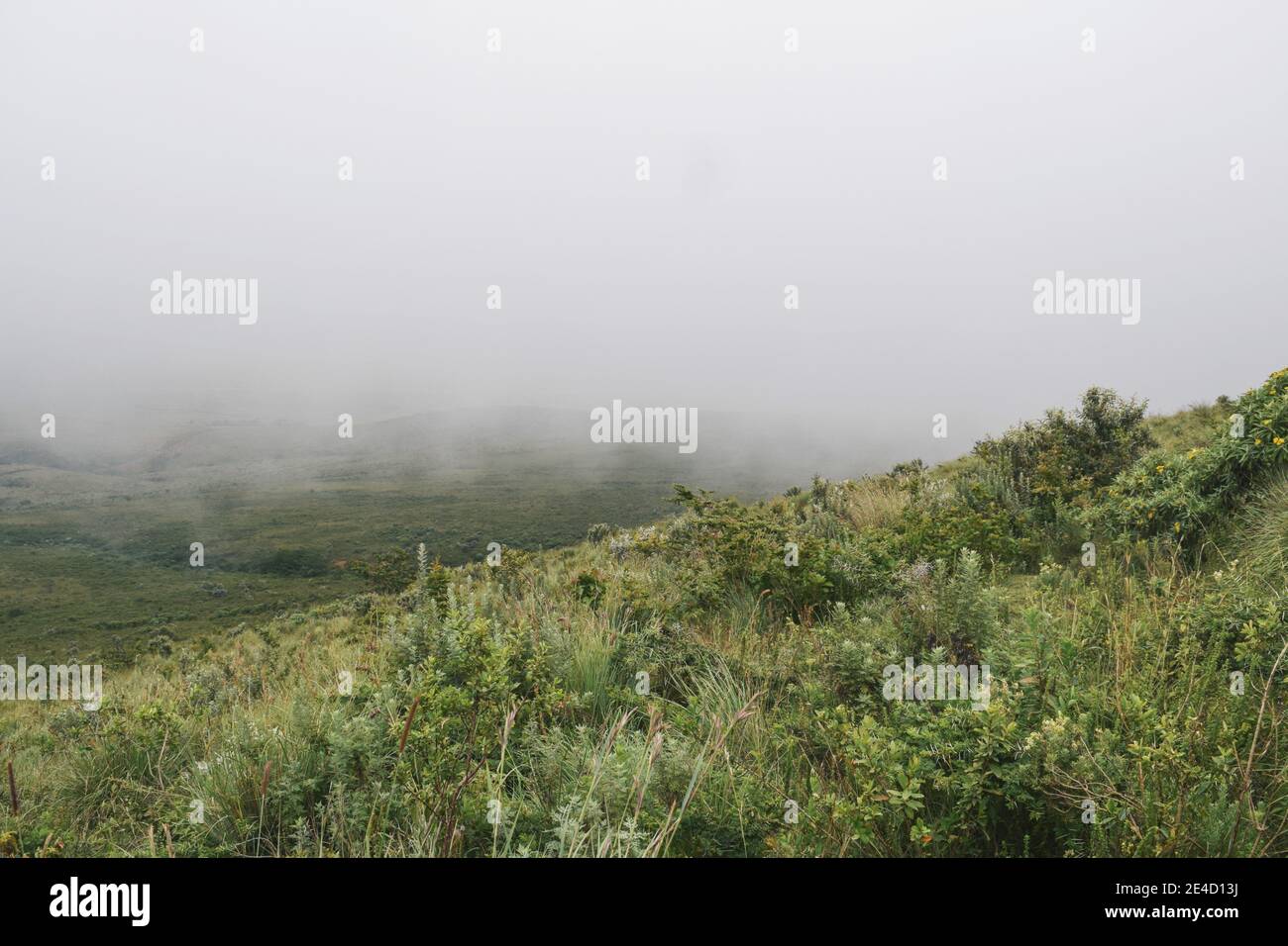 Aberdare ranges hi-res stock photography and images - Alamy