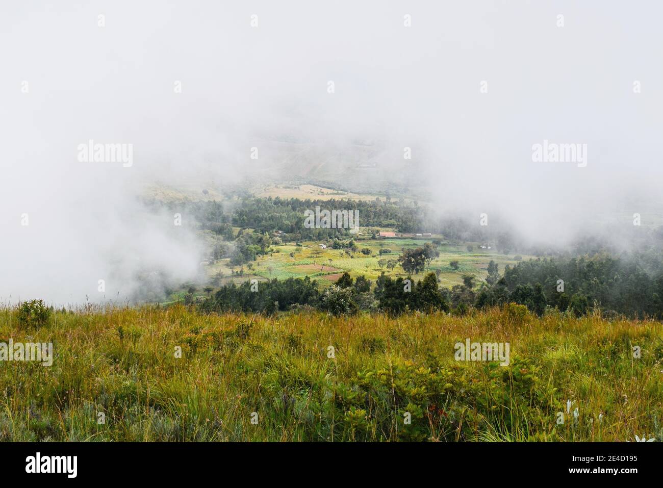 Aberdare ranges hi-res stock photography and images - Alamy