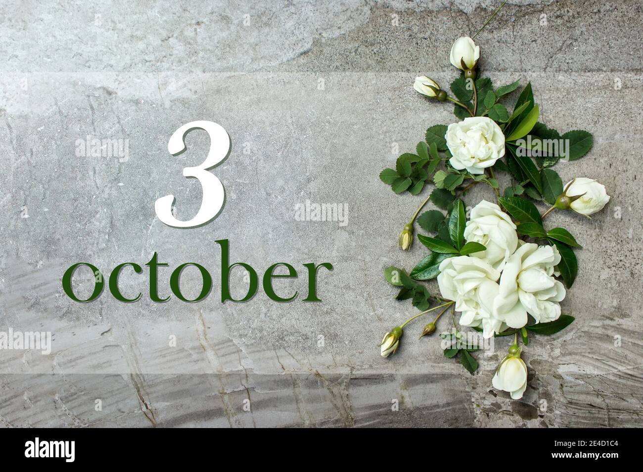 October 3rd. Day 3 of month, Calendar date. Stylish roses flat lay ...