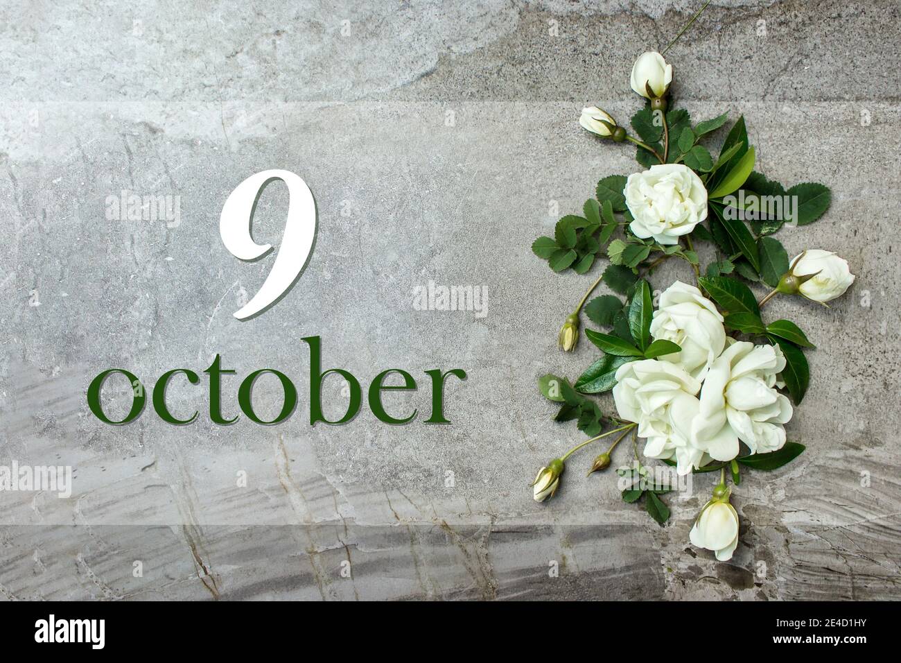 October 9th. Day 9 of month, Calendar date. Stylish roses flat lay ...