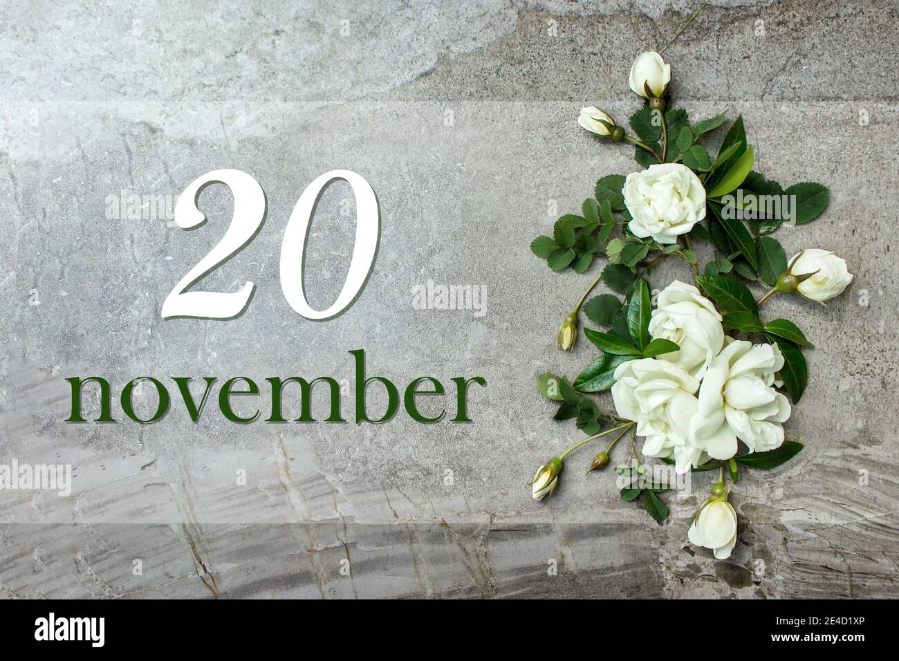 November 20th. Day 20 of month, Calendar date. Stylish roses flat lay ...