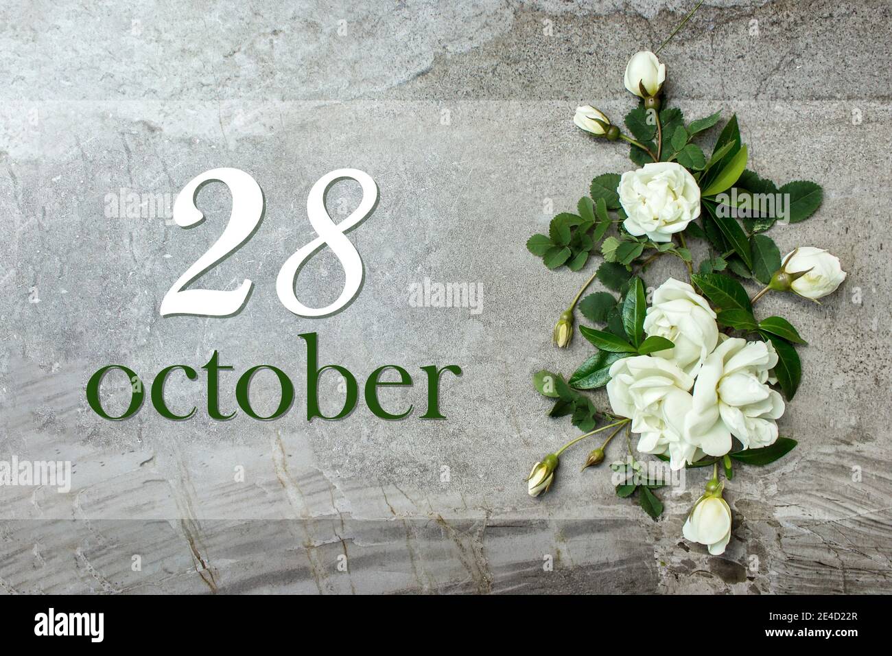 October 28th. Day 28 of month, Calendar date. Stylish roses flat lay ...