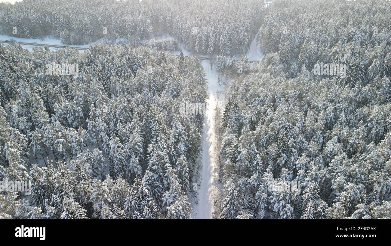 photo from a flying drone, a small planet and a winter landscape, pines and spruces are covered ...
