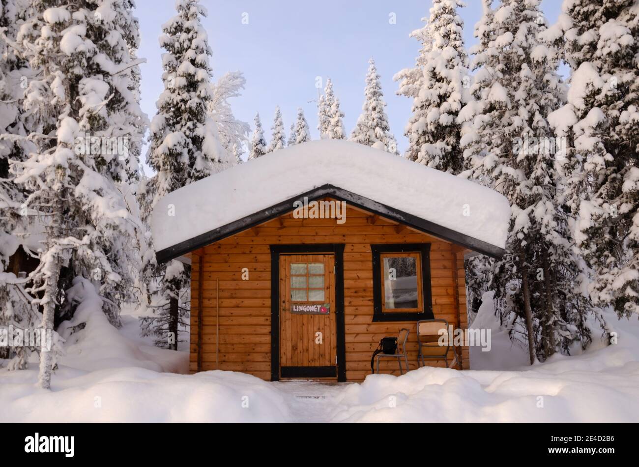 wooden hut at a husky farm in between snowy trees in Kiruna, northern ...