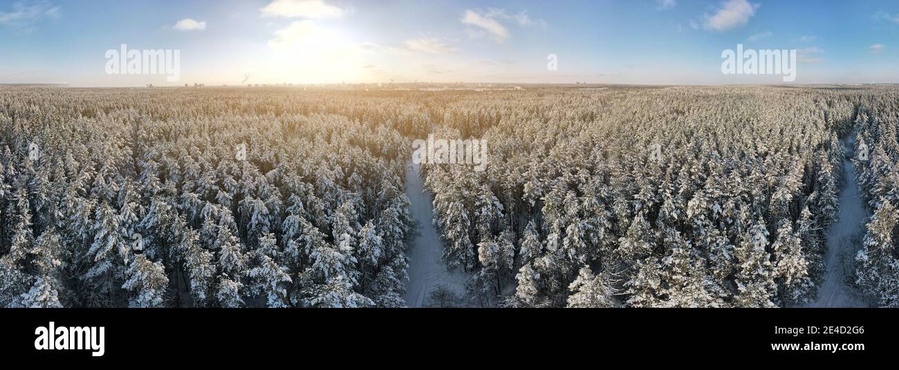 photo from a flying drone, a small planet and a winter landscape, pines ...