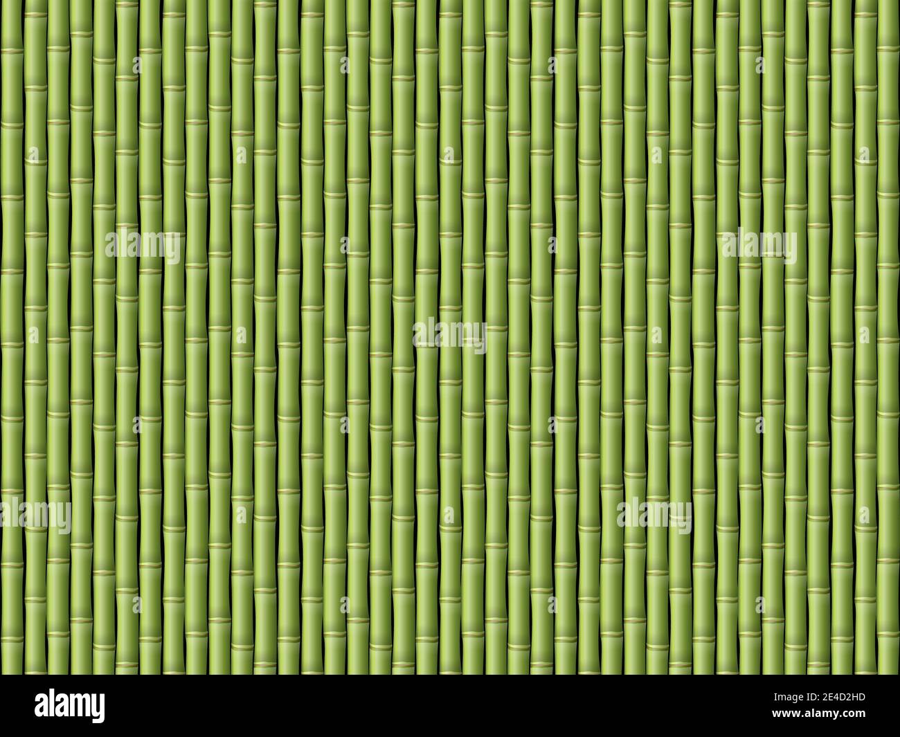 Green bamboo stick pattern background. Vector illustration Stock Photo ...
