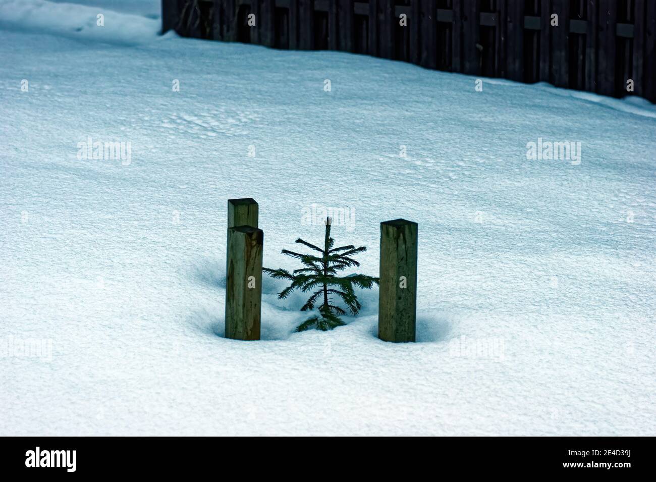 Small snow cap hi-res stock photography and images - Alamy