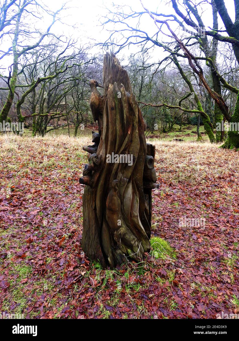 Carved tree stump hi-res stock photography and images - Alamy