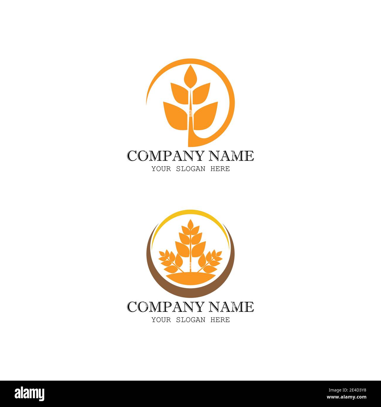 Wheat Logo Template vector symbol nature Stock Vector Image & Art - Alamy