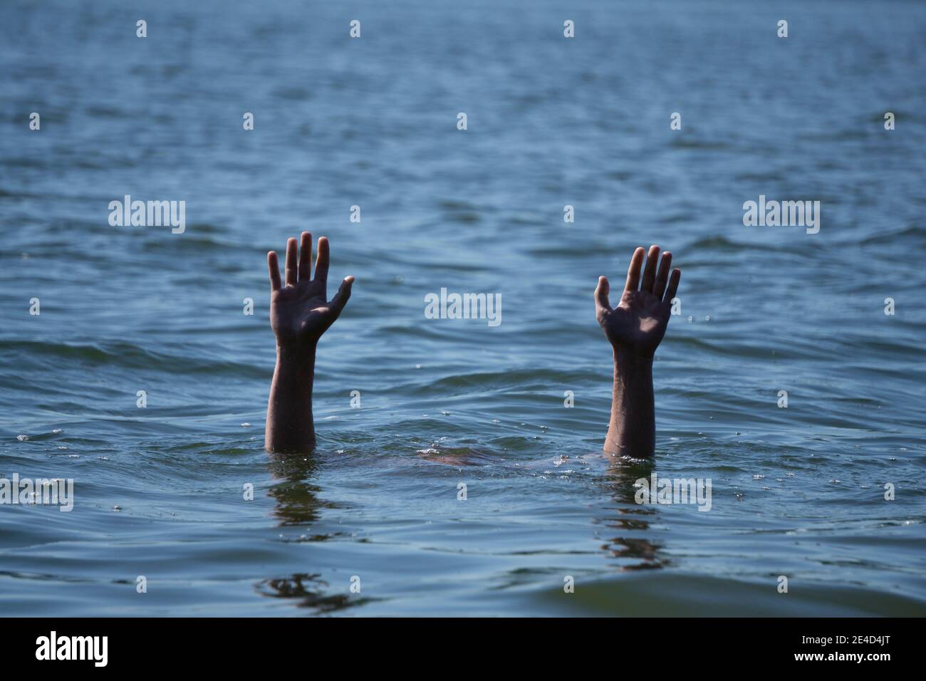 Two Hands stick out of water danger Stock Photo - Alamy