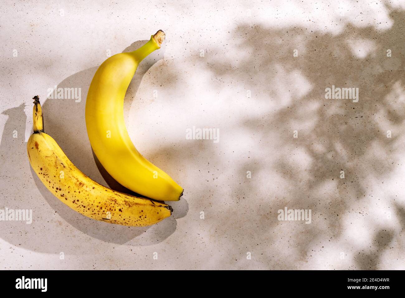 Two isolated bananas, one fresh and one ripe on a concrete surface with ...