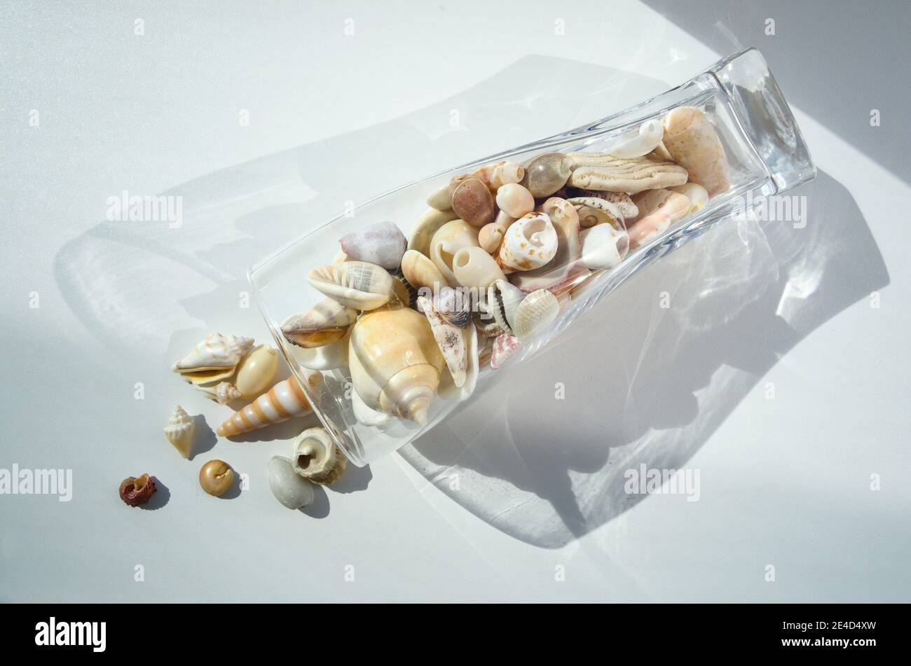 Shell interior decorative hi-res stock photography and images - Alamy