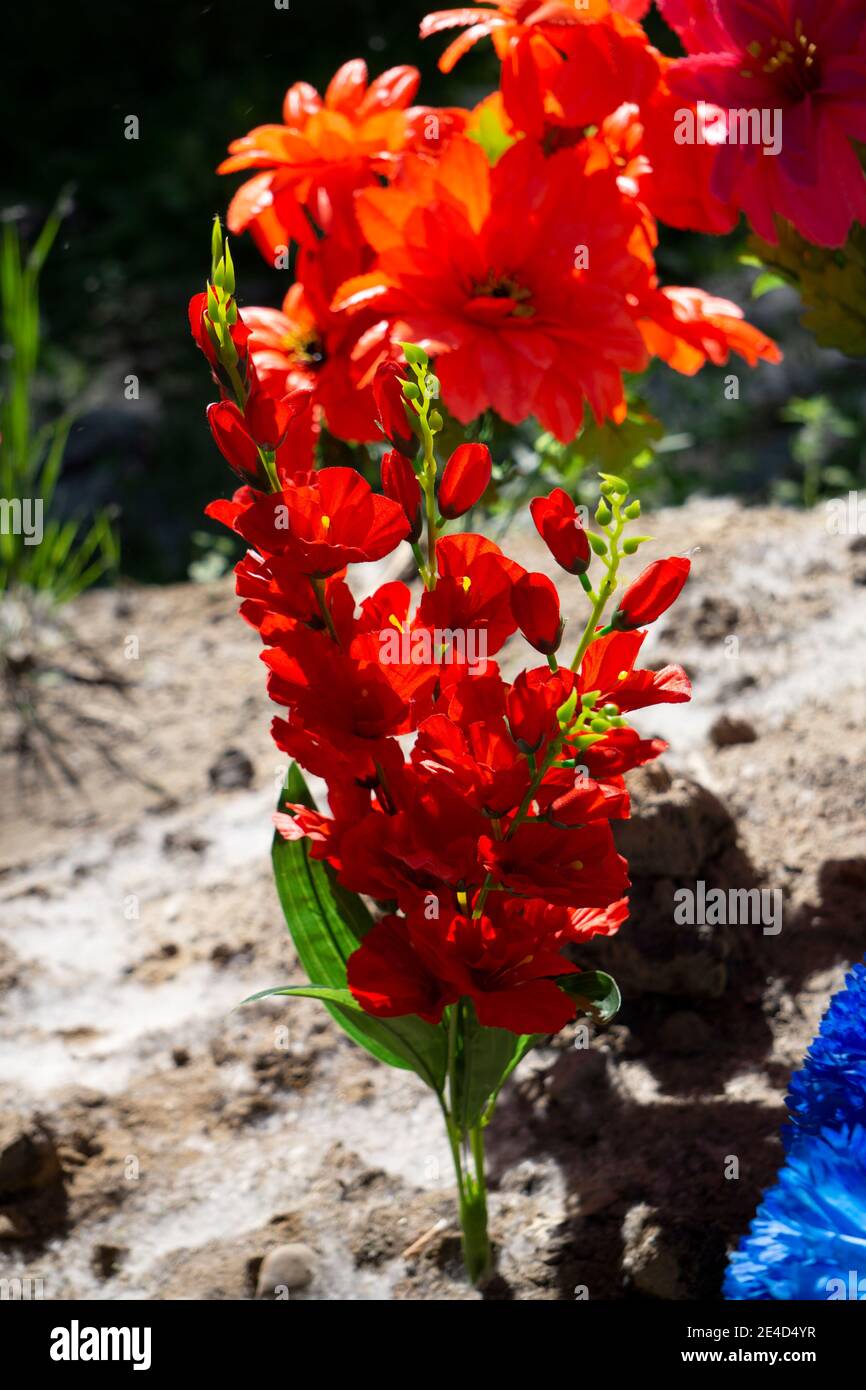 Plastic Floral Bouquet of Different Flowers on White Background Stock ...