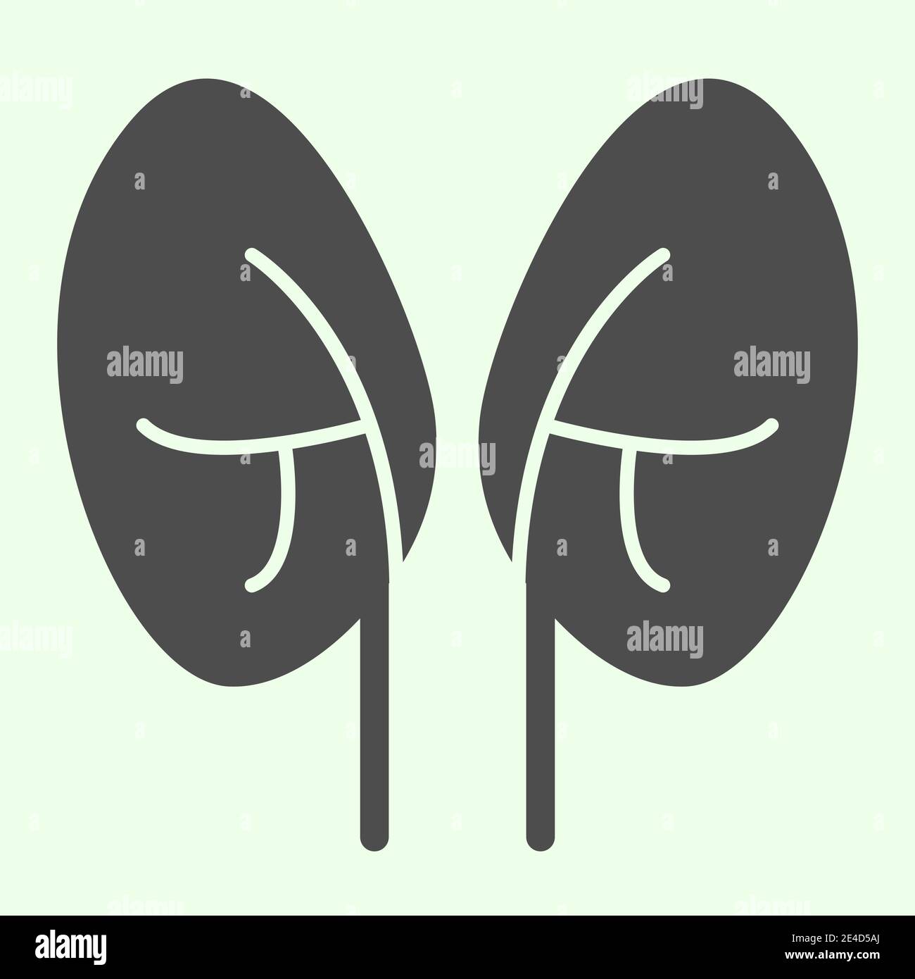 Healthy kidneys medical image Stock Vector Images - Alamy