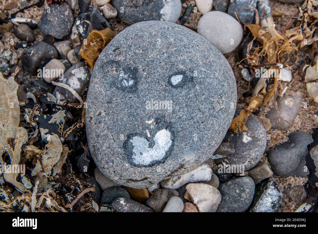 a stone on the beach looks like a face Stock Photo - Alamy
