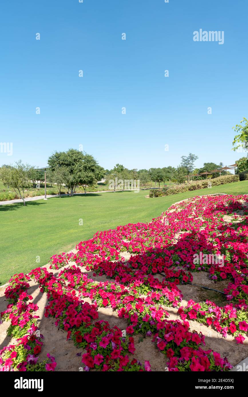 Dubai, United Arab Emirates – January 22, 2021, Dubai Safari Park ...