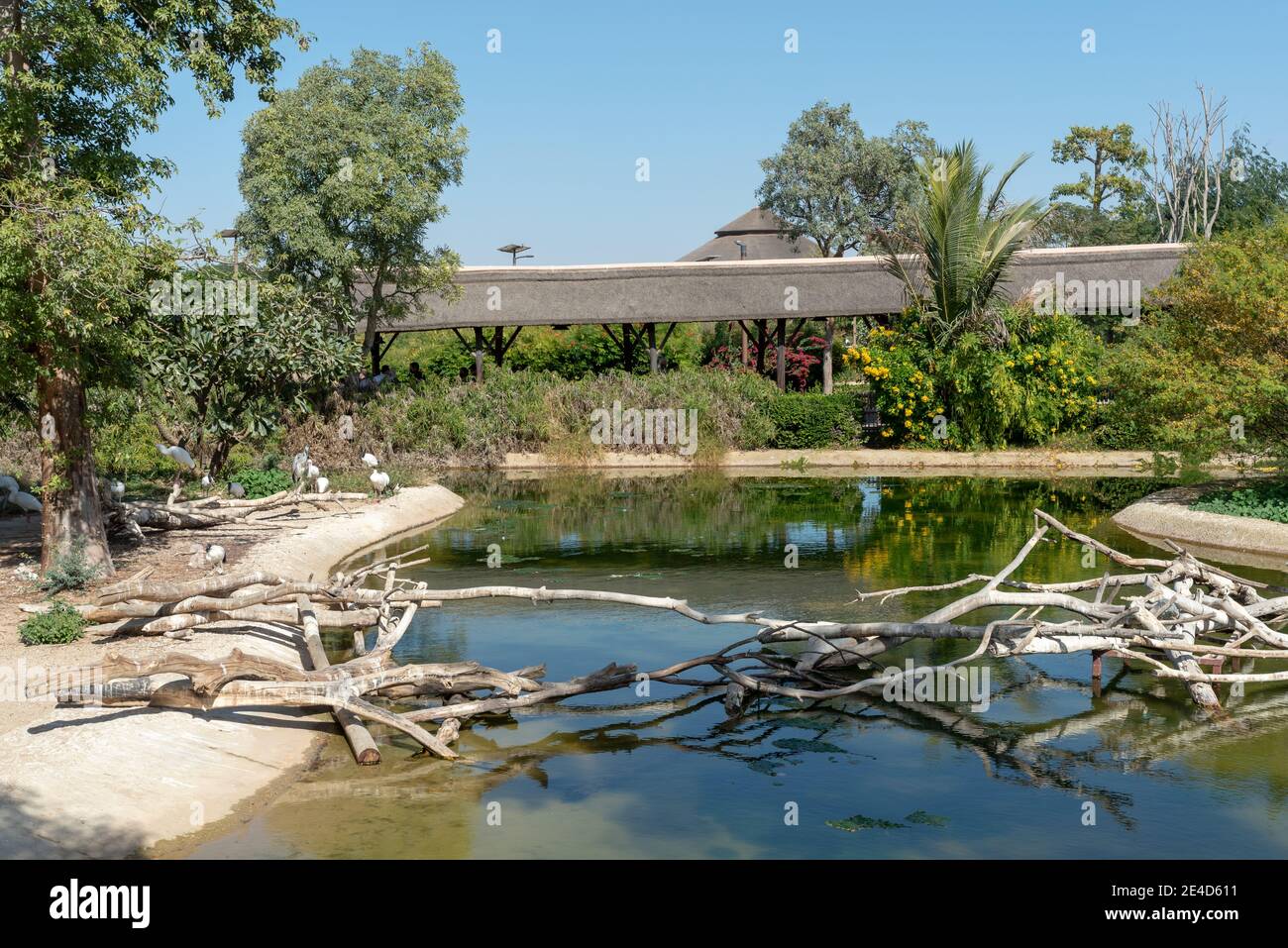 Dubai, United Arab Emirates – January 22, 2021, Dubai Safari Park ...