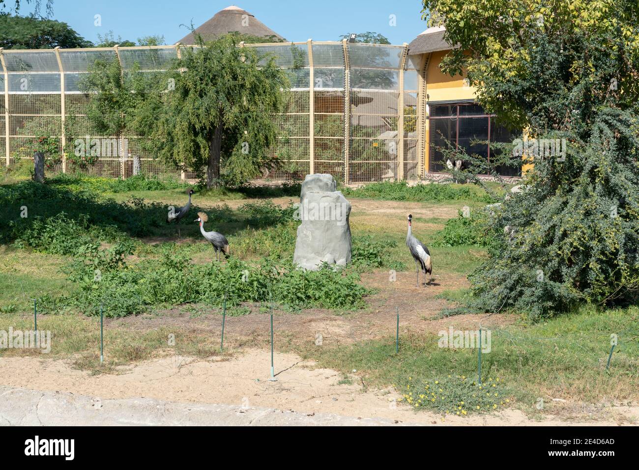 Dubai, United Arab Emirates – January 22, 2021, beautiful Animals in ...