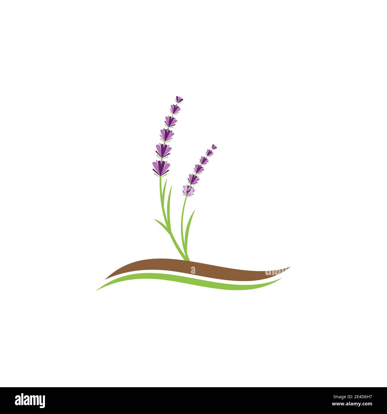Lavender Logo Template vector symbol nature Stock Vector Image & Art ...