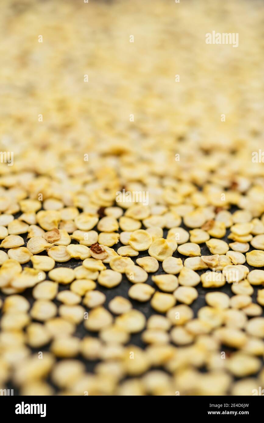 Capsicum seed hi-res stock photography and images - Alamy