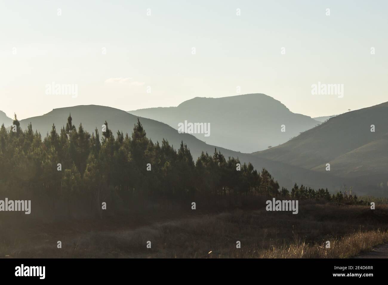 Distant blue mountains of the Great escarpment, in South Africa, with ...