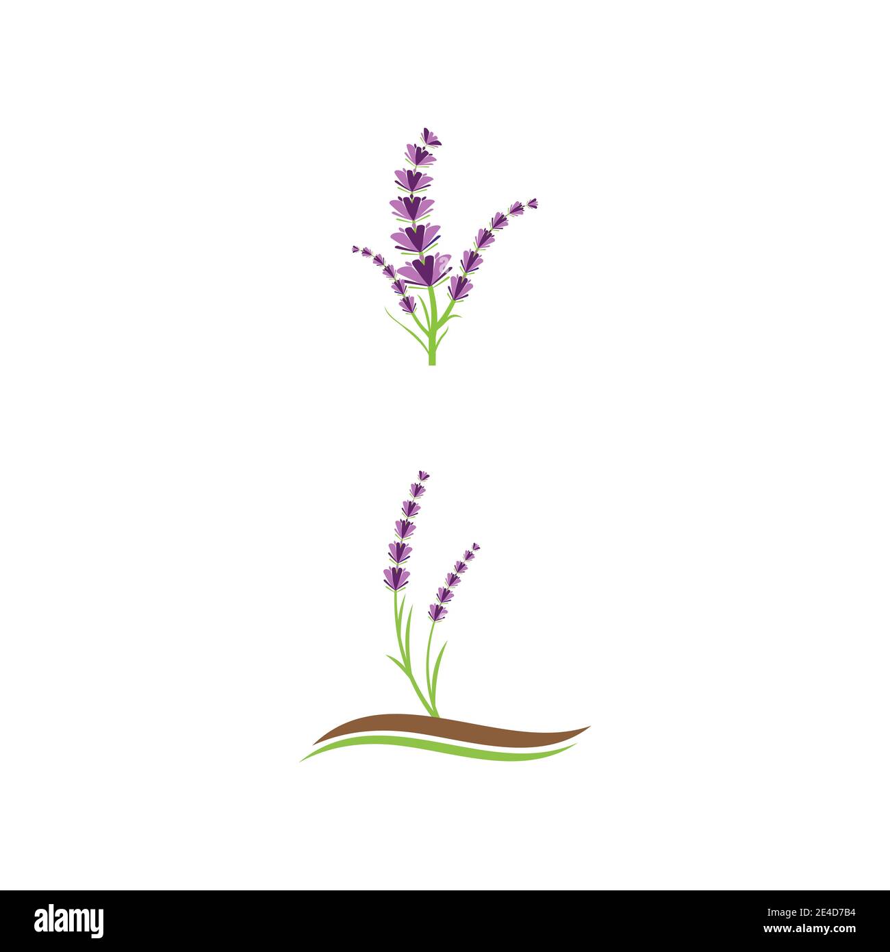 Lavender Logo Template vector symbol nature Stock Vector Image & Art ...