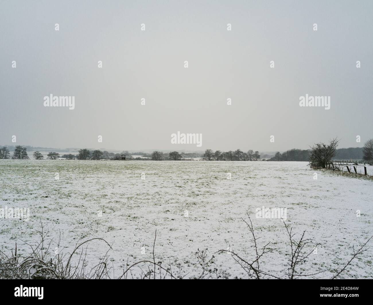Snow-covered fields on a cloudy January morning Stock Photo - Alamy