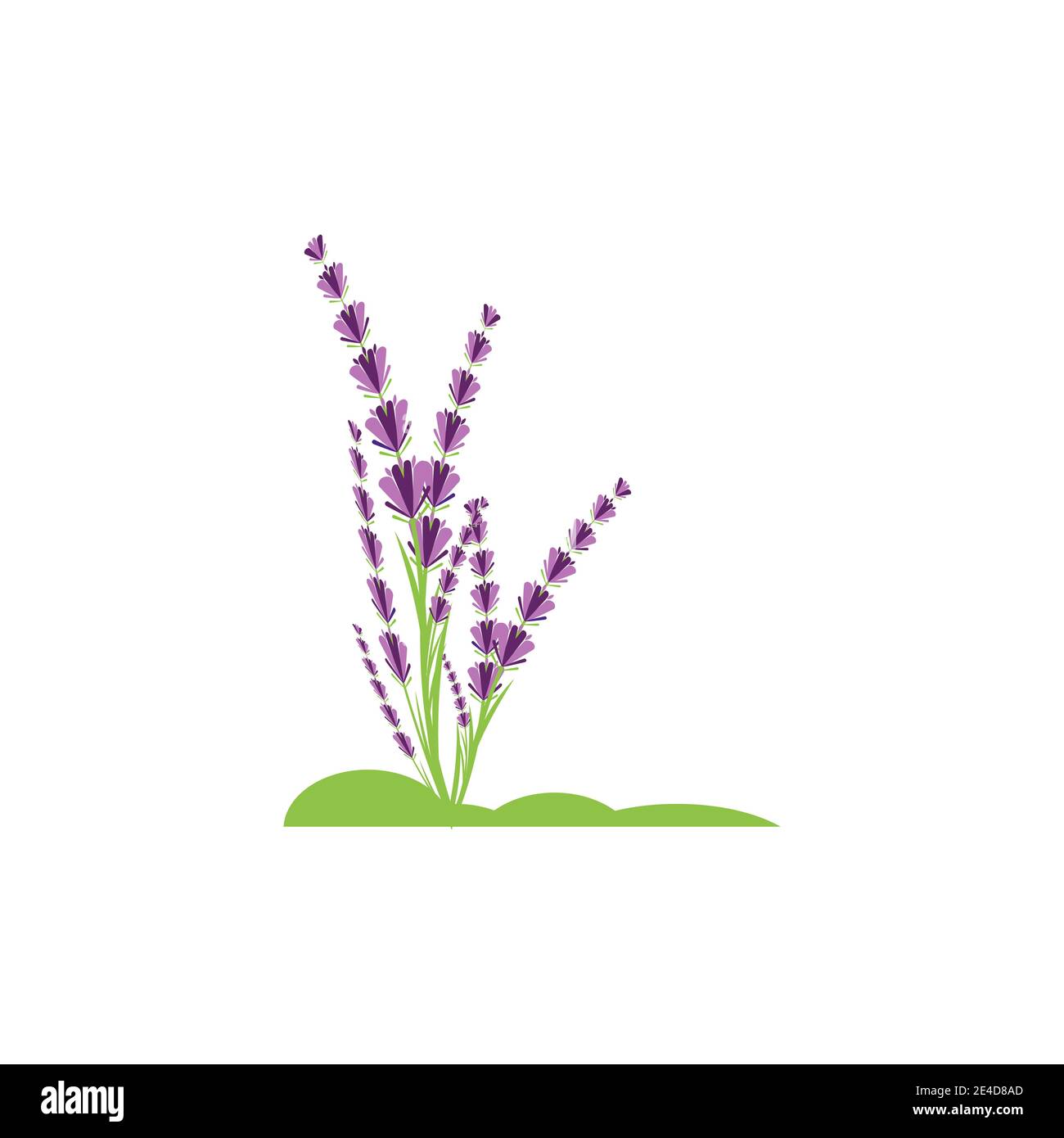 Lavender packaging template hi-res stock photography and images - Alamy